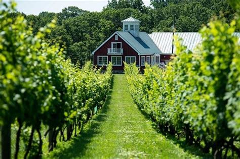 Philip Carter Winery Hume Va Wedding Venue