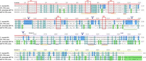 Consensus And Example Sequence Alignment Of Eef1a And Efl Consensus