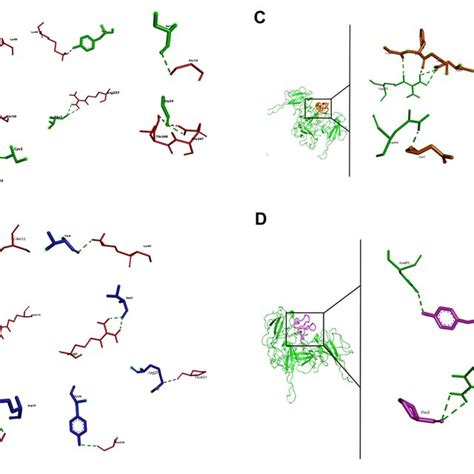 Molecular Dynamic Simulation Plots By Gromacs Rmsd Rmsf Radius Of