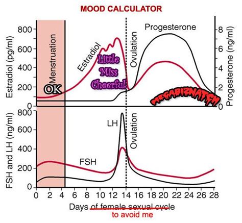 Understanding The Female Menstrual Cycle Is Extremely Important