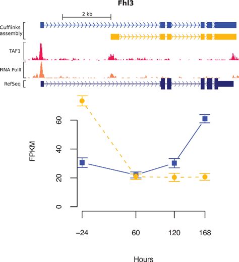 Figure 1 From Transcript Assembly And Abundance Estimation From Rna Seq