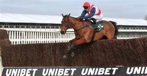 The Wine Tipster The 2024 Unibet Middle Distance Veterans Handicap