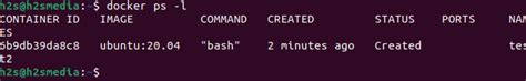 how to list all running and stopped docker containers linux shout