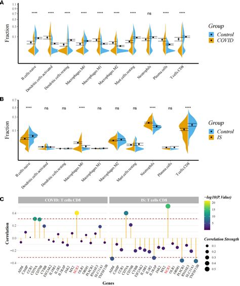 Frontiers Integrated Bioinformatics Analysis Identifies Shared Immune