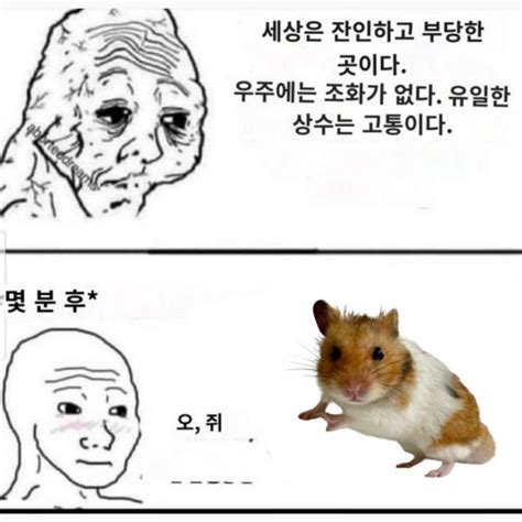 아는 만큼 보이는 요즘 밈 모음 고구마팜
