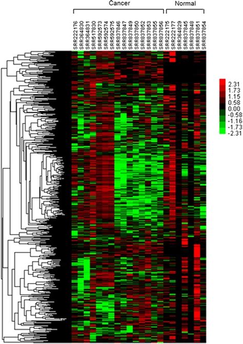 identification of commonly dysregulated genes in colorectal cancer by