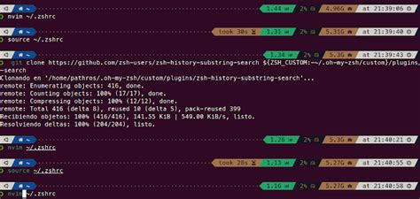pathros zsh plugins más importantes