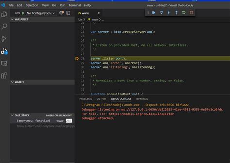 nodejs project not showing variables in debugger ides support