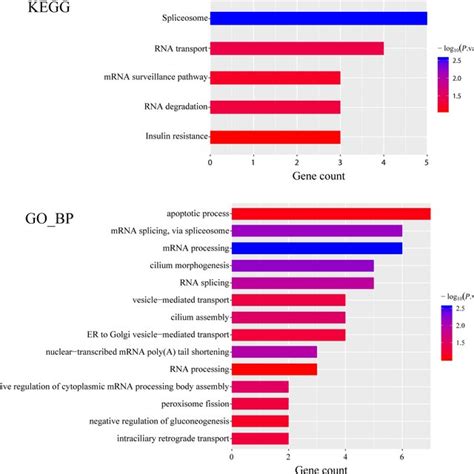 Kegg Pathway And Go Analysis Of Hub Genes In Black Module A Bar Chart