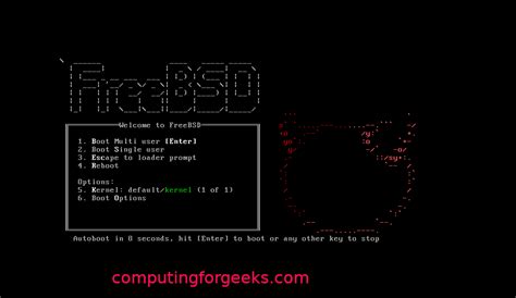how to install freebsd 12 on kvm virtualbox computingforgeeks