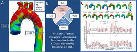 Novel Applications Of Cardiovascular Magnetic Resonance Imaging Based