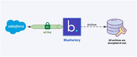 comprehensive and secure salesforce archiving solution bluefactory