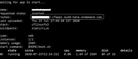 deploy your reactjs application in cloud foundry sap blogs