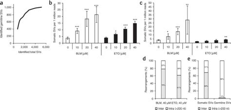 Quantitative Detection Of Low Abundance Somatic Structural Variants In