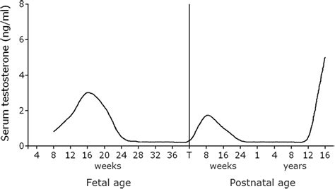 Neuroscience And Sex Gender Looking Back And Forward Journal Of