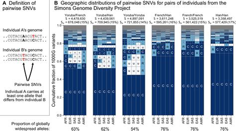 A Variant Centric Perspective On Geographic Patterns Of Human Allele