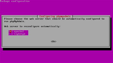 setting up lamp linux apache mysql mariadb php and phpmyadmin on