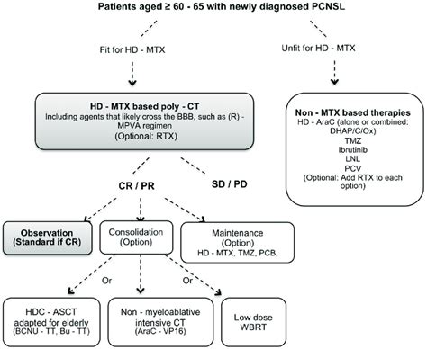 Working Algorithm Proposed By The Authors Of The Present Review For The