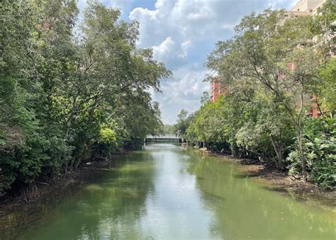 22 Year Old Woman Goes Missing For 3 Days Found Dead In Pasir Ris River