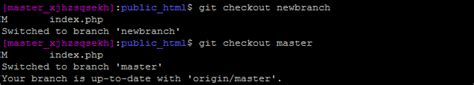 manage branches and resolve conflicts in git