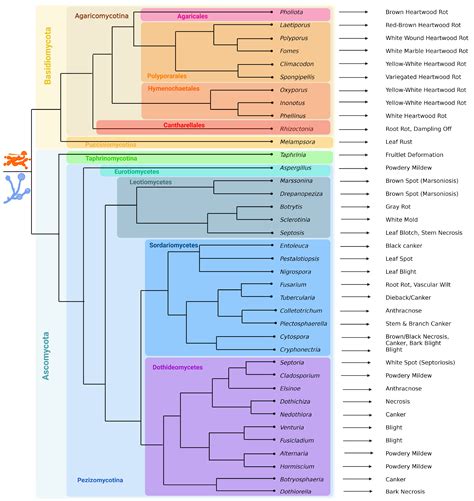 Ijms Free Full Text Editing Metabolism Sex And Microbiome How
