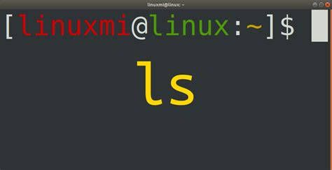 linux中的命令ls 1 linux常用命令 ls 入门基础知识 csdn博客