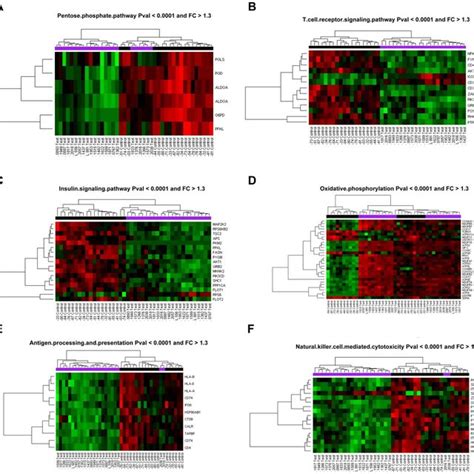 heatmap of representative genes from a sample of hiv 1