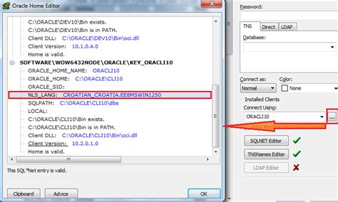 dr s it scrapbook setting toad nls lang when using oracle