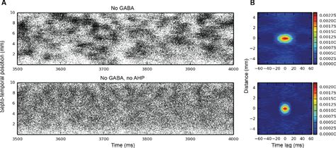 Figure 1 From A Million Plus Neuron Model Of The Hippocampal Dentate