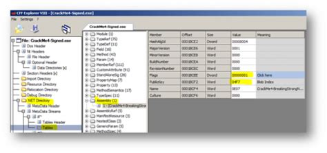 dot net assemblies and strong name signature