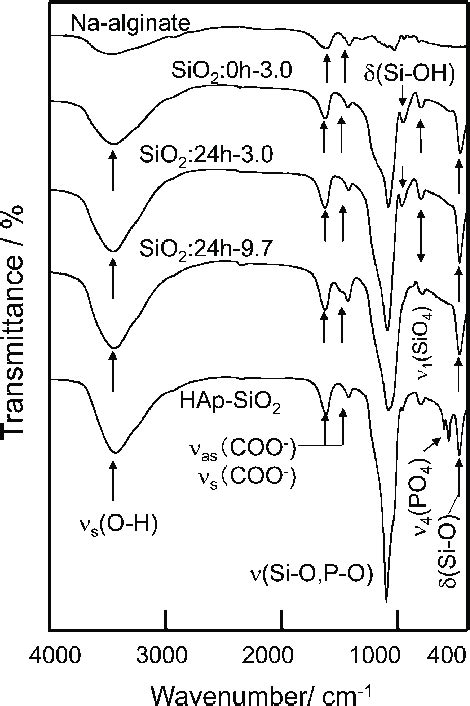the ft ir spectra of sio 2 and hap sio 2 macrospheres together with the