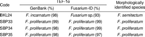 Percentage Of Sequence Similarity Based On The Tef 1α Gene Of 70