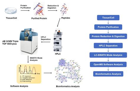 Comparison Of Five Commonly Used Quantitative Proteomics Analysis