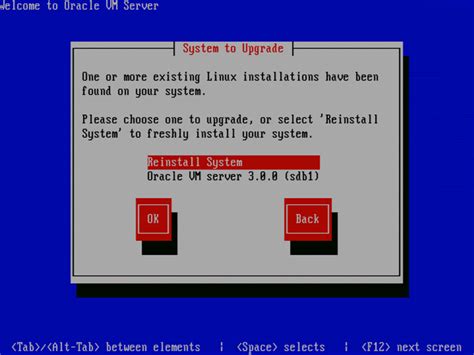 installing oracle vm server