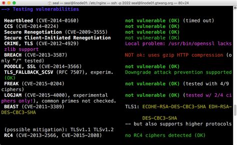 testssl sh 伺服器 tls ssl 加密安全性檢測工具，找出網站漏洞預防入侵 g t wang