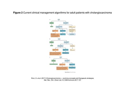 Nat Rev Clin Oncol Doi Nrclinonc Ppt Download
