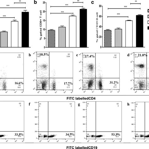 Flow Cytometric Analysis Of T Cell Subset And B Cells Fluorescently