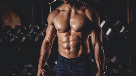 Divisiones Del Abdomen ¿por Qué Unos Tienen Six Pack Y Otros Más