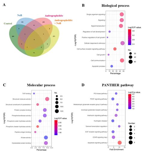 Microorganisms Free Full Text Andrographolide Inhibits Lytic