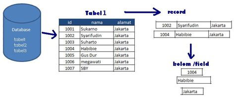 struktur tabel database struktur data pada basis data rangkuman