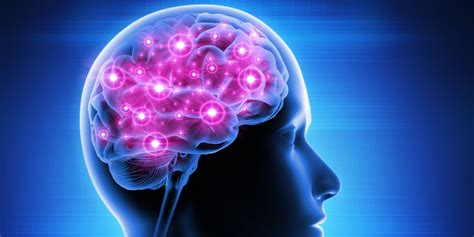 Memory Loss Potential Causes Treatment Prevention