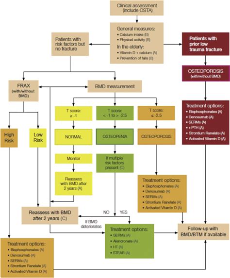 Algorithm For The Management Of Postmenopausal Osteoporosis
