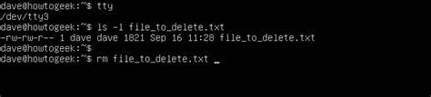 how to copy and paste text at linux s bash shell