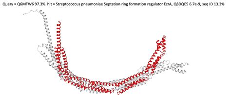Alphafold An Ai Tool For Protein Structure Prediction Genenames Blog