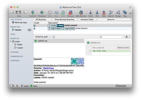 tutorial git and github source tree i commit and push 2020