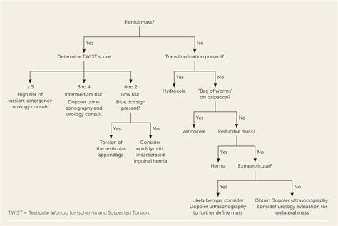Scrotal Masses Aafp