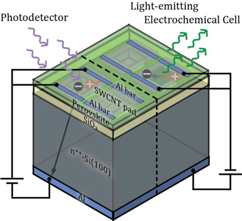 Fig 1 [image] Eurekalert Science News Releases