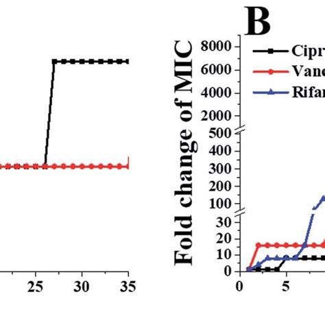 A Effect Of Compounds 4a4 4b4 4e3 And 4e1 On The Polymerization Of