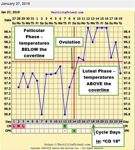 How To Use A Basal Body Temperature Chart